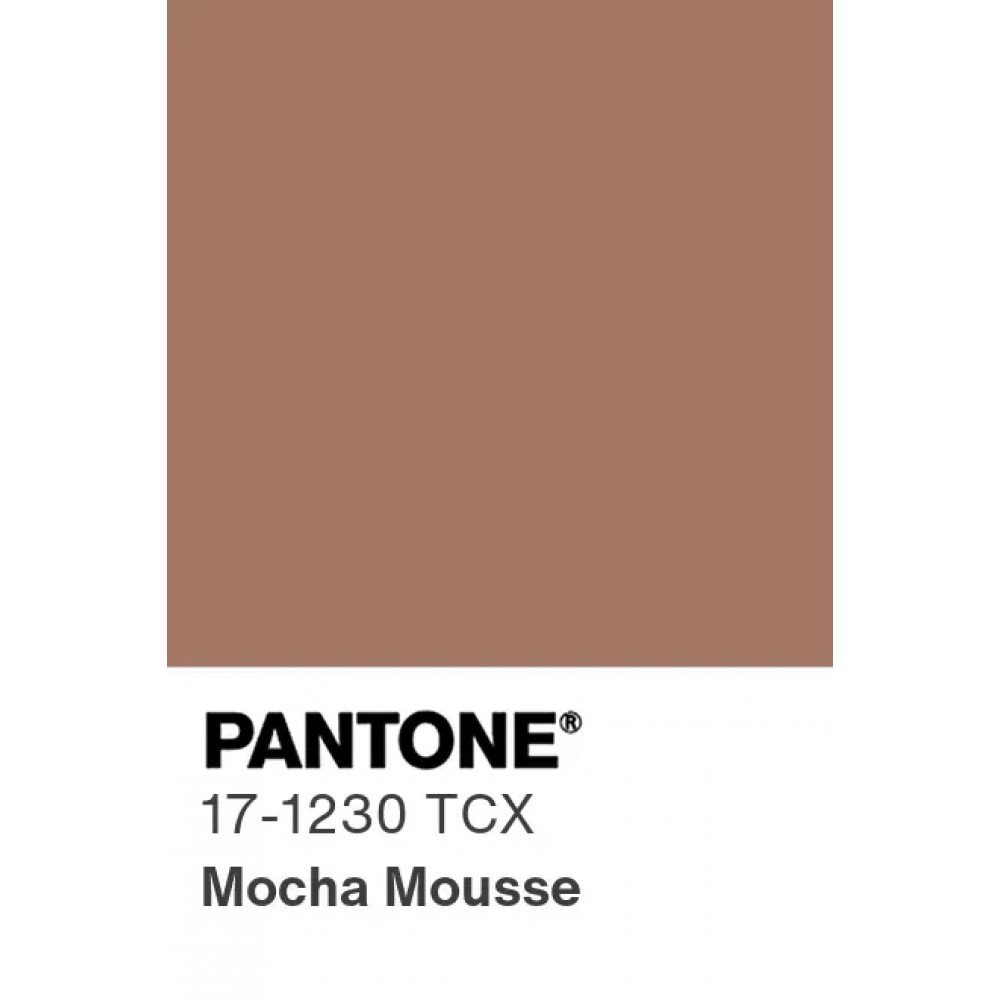 Pantone Cotton Swatch Card 17-1230 TCX | Color of the Year ...