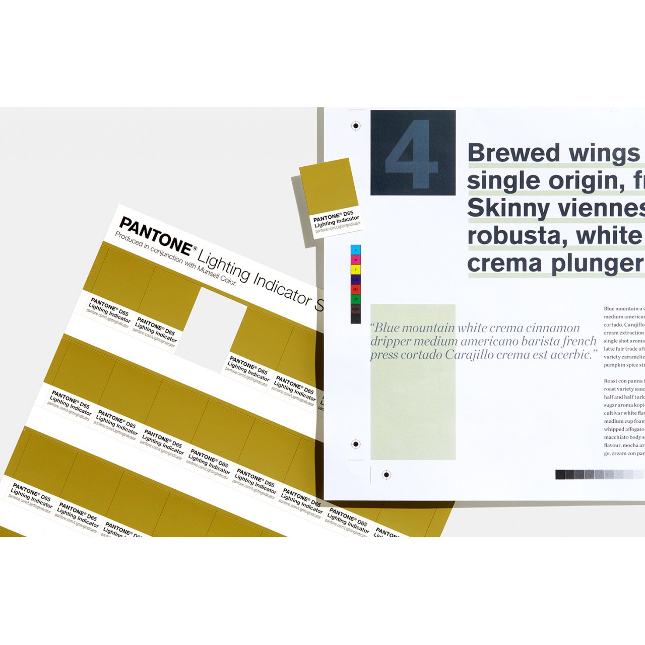 Pantone Lighting Indicator Stickers D50 | Pantone Chip