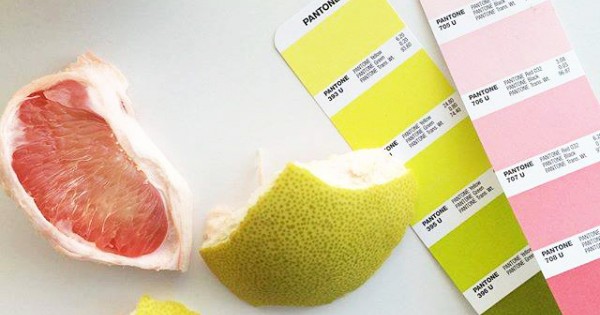 Pantone Color Charts | Pantone Colours