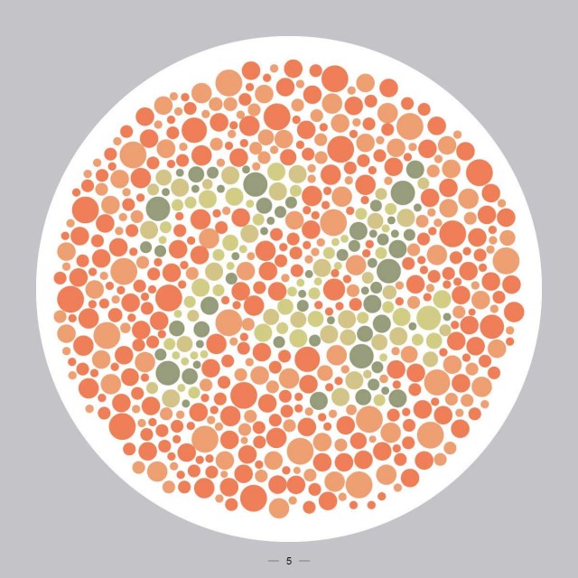 Ishihara s Test Chart Books For Color Deficiency 14 Plates With Manual